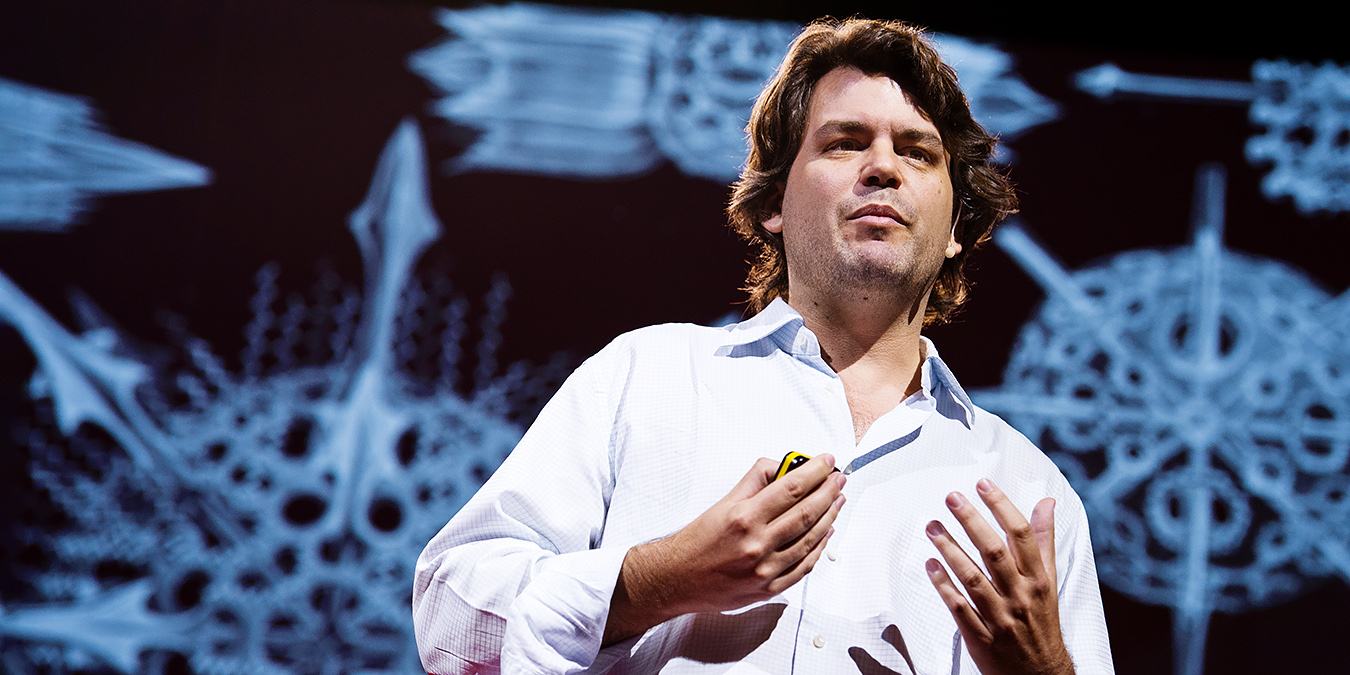 Artist Profile: Michael Hansmeyer – Visual Alchemist